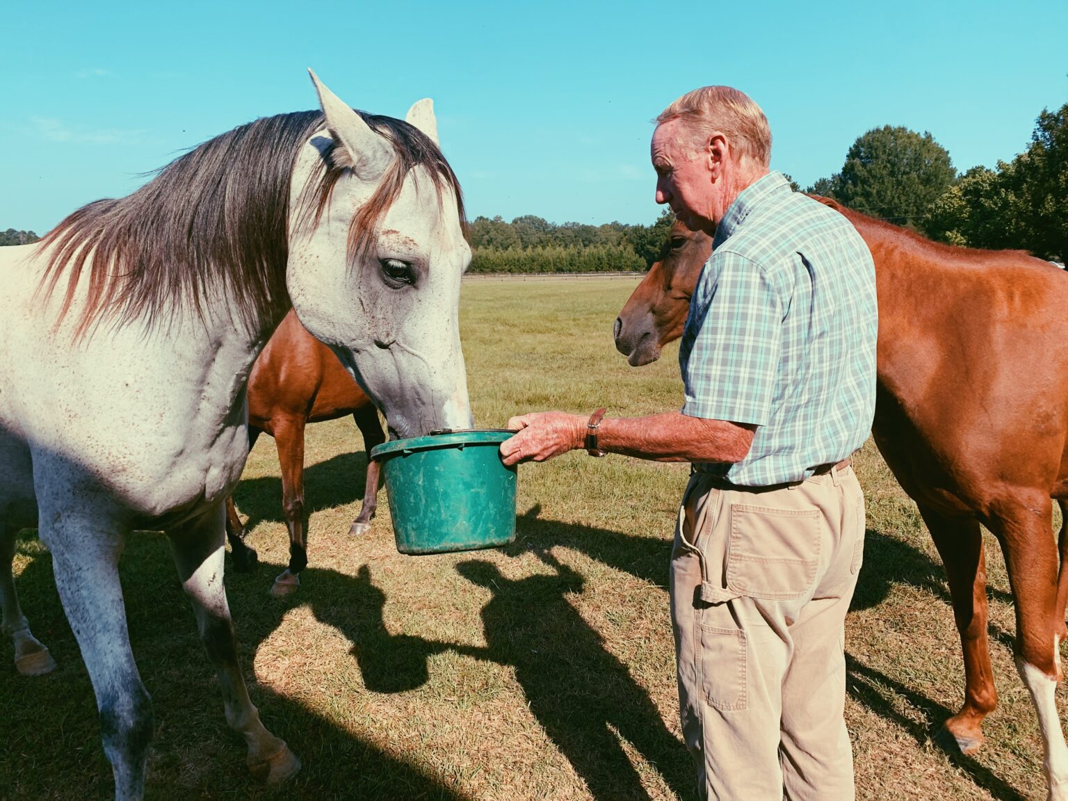DONATE - Humane Society of South Carolina