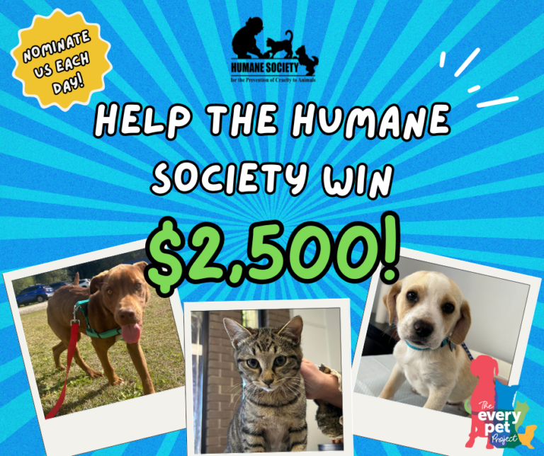 Home - Humane Society of South Carolina